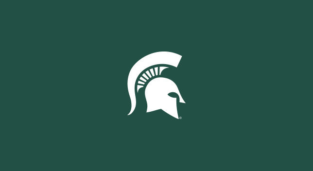 Michigan State Pool Table Felt
